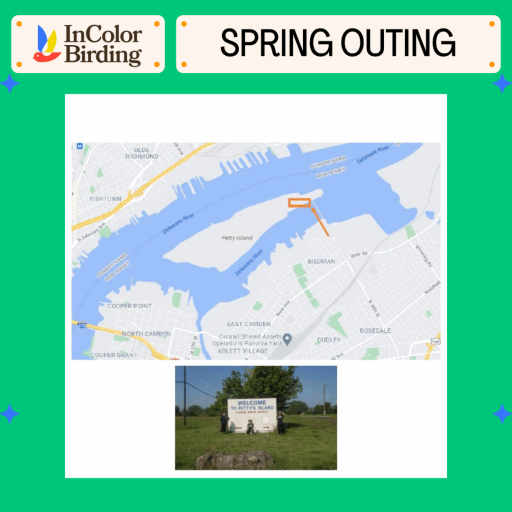 Petty’s Island Bird Outing – In Color Birding